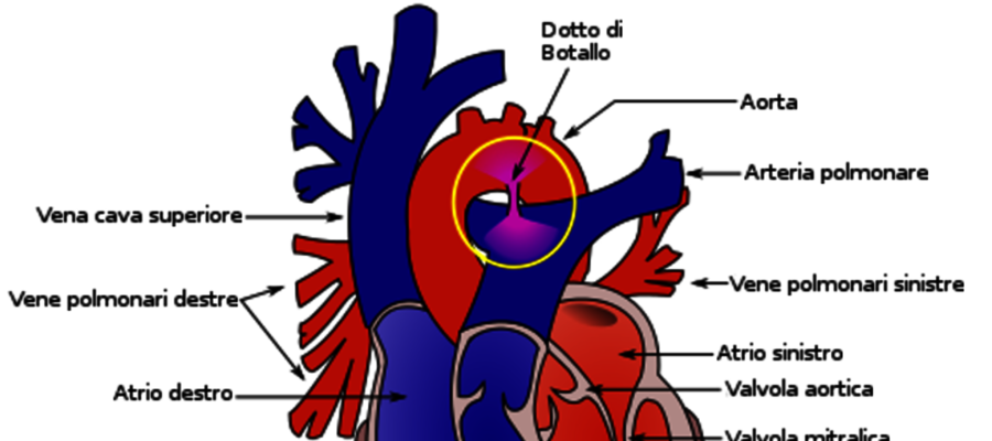 Un ombrellino per chiudere i sensi “vietati” nel cuore